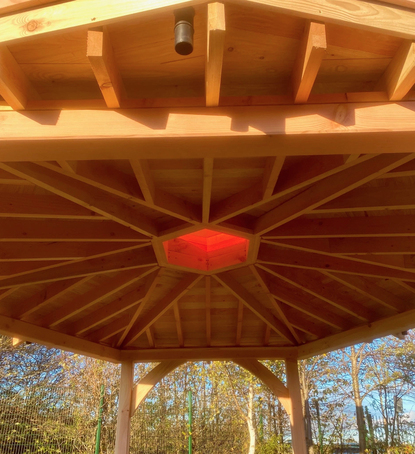 Bespoke outdoor classroom with green roof for school | Handspring ...