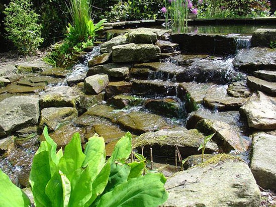 Lake and pond design and build services | Aqualife Water Plants ...