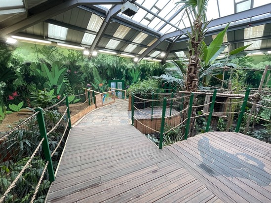 Anti-slip bamboo decking for zoo's sloth enclosure | Gripsure | ESI ...