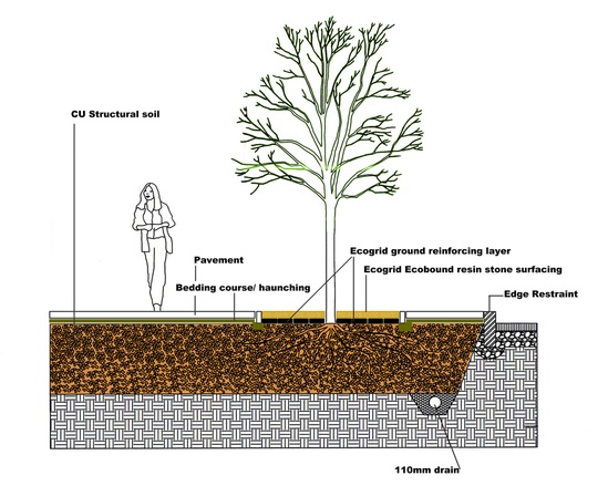 CU-Structural Tree Soil | Ecogrid | ESI External Works