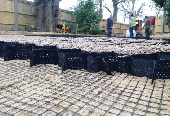 Tree root protection for driveway construction project | CORE Landscape ...