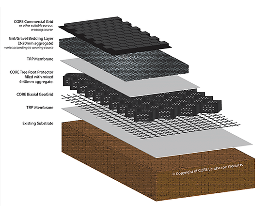 Tree root protection for driveway construction project | CORE Landscape ...