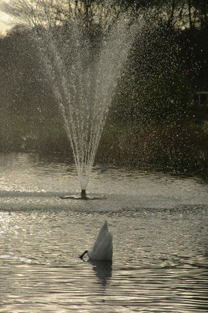 Fountain and lake water feature, Nottingham University | Fountains ...