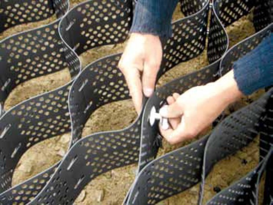 Geoweb® tree root protection system | Greenfix Soil Stabilisation ...