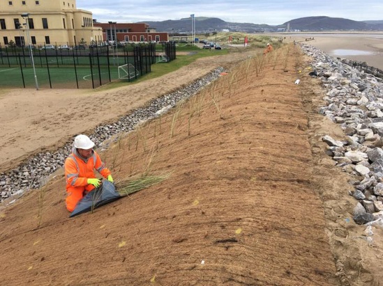Eromat™ erosion control blanket - Swansea University | Greenfix Soil ...