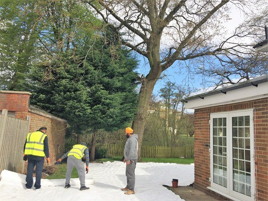 Geoweb® Tree Root Protection - Case Study Stanmore | Greenfix Soil ...