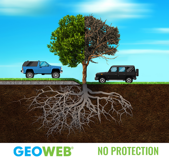 Geoweb® tree root protection system | Greenfix Soil Stabilisation ...