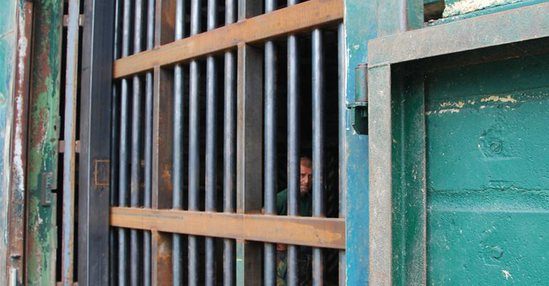 Bespoke elephant cage and fencing for wild animal park | Jacksons ...