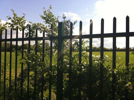 Barbican® square pale vertical bar fencing | Jacksons Fencing | ESI ...