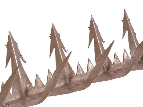 Cobra Spike® security fence / wall / gate topping | Jacksons Fencing ...