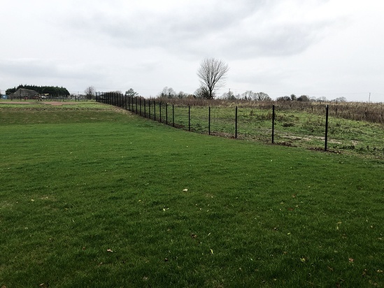 EuroGuard® Regular mesh fencing secures school perimeter | Jacksons ...