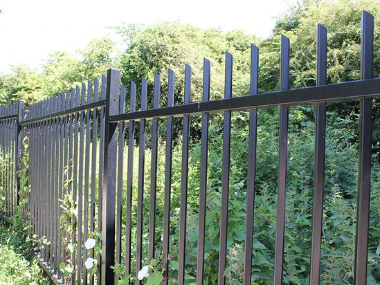 Vertical bar fencing protects coastal SSSI | Jacksons Fencing | ESI ...