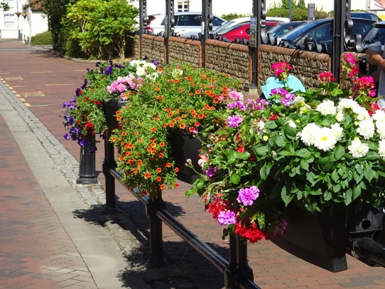 Self-watering barrier planters for local floral display | Amberol | ESI ...