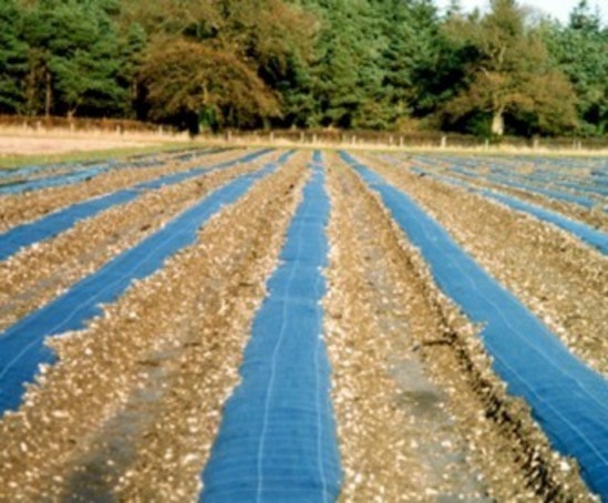 Covertex™ weed control ground cover fabric | Hy-Tex | ESI External Works