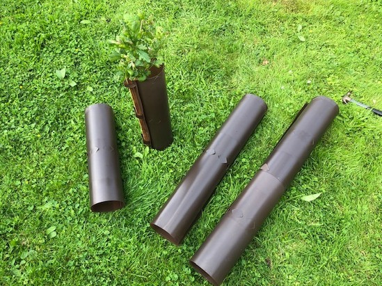 Hy-Tex launch new fully biodegradable Tree-Guard | Hy-Tex | ESI ...