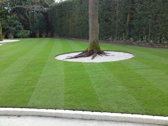 Classic Turf – fine-leaved, durable all-round turfgrass | INTURF™ | ESI ...