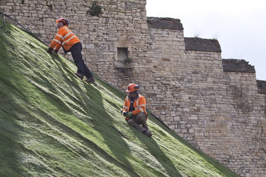 Steep slope turfing and stabilisation, Lincoln Castle | Lindum Turf ...