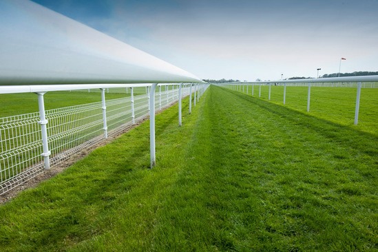 Lindum Washed Turf | Lindum Turf | ESI External Works