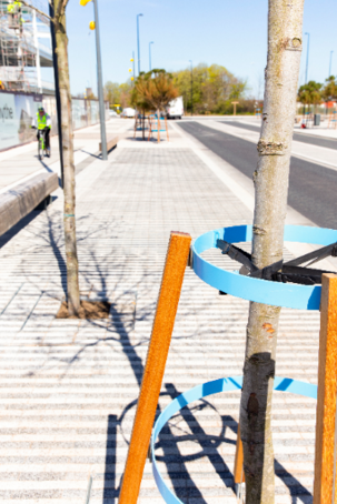 Bespoke tree grilles and guards - Tower Road, Birkenhead ...