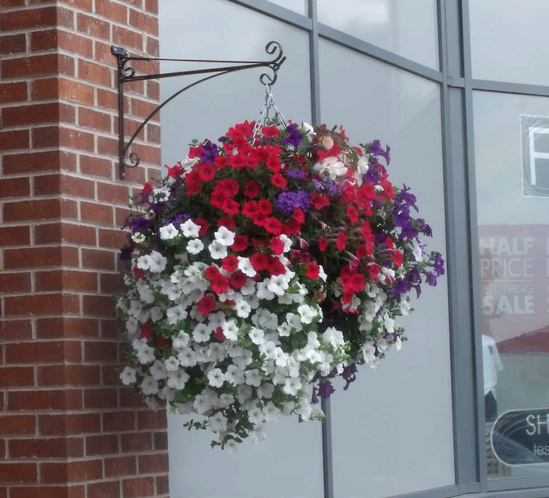 Hanging baskets for floral displays | Plantscape | ESI External Works