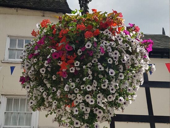 Lamp-post basket flower displays | Plantscape | ESI External Works