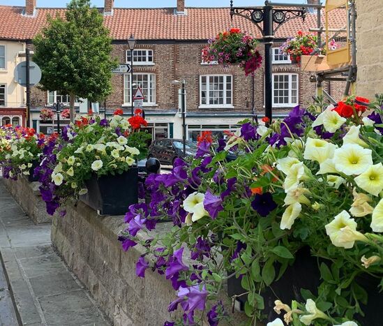 Barrier Basket planters for streets and highways | Plantscape | ESI ...