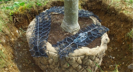 Rootball Fixing System - Plati-Mat | Platipus Anchors Ltd | ESI ...