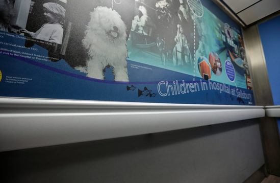 Acrovyn by Design transforms hospital lifts | Construction Specialties ...