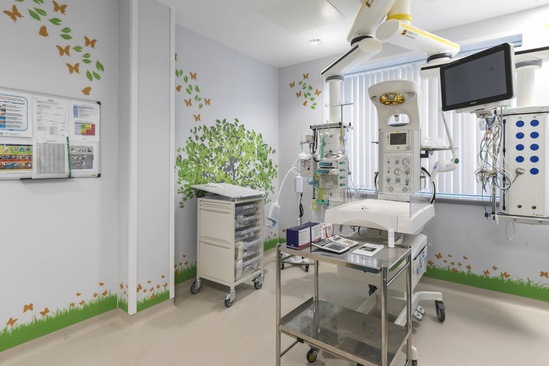 Comprehensive wall protection scheme for neonatal unit | Construction ...