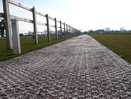 BodPave® 85 cellular porous pavers | Terram | ESI External Works
