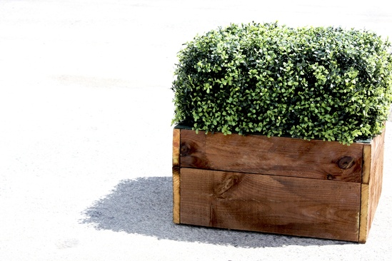 Bespoke buxus hedge boxes for external seating area | Livingreen Design ...