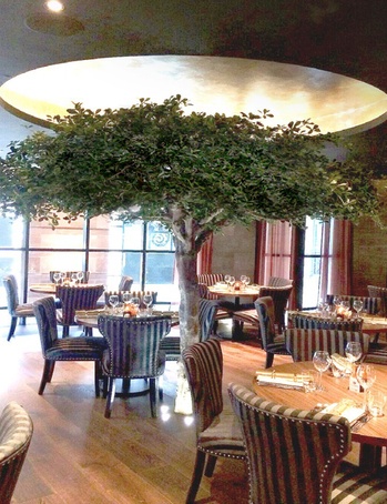 Lifesize bespoke artificial olive tree for restaurant | Livingreen ...