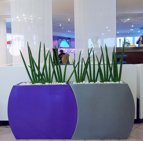 Curvy - Bridget contemporary, ultra-lightweight planters | Livingreen ...