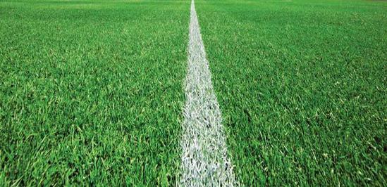 J Rescue Stadia overseeding mix for sports fields | Johnsons Sports ...