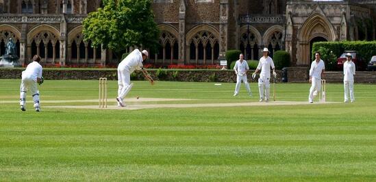 J Nitro Premier Wicket grass seed for cricket wickets | Johnsons Sports ...