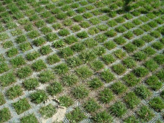 TRUCKGRID-Max permeable paving grids | Suregreen | ESI External Works