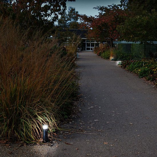 Low-level lighting for walkways at RHS Wisley Gardens | Artform Urban ...