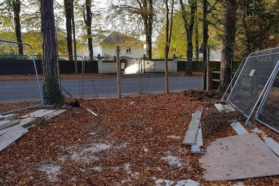 RB heavy duty tree root protector for new driveway | Green Grid Systems ...