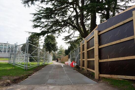 Tree root protection on access road at Royal Botanic Gardens | Green ...