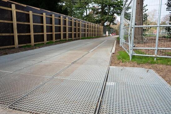 Tree root protection on access road at Royal Botanic Gardens | Green ...