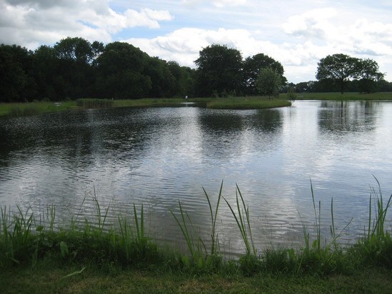 Lake construction for private landscape project | Lakes & Fountains ...