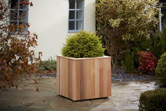 Western Red Cedar planter | Taylor Made Planters | ESI External Works