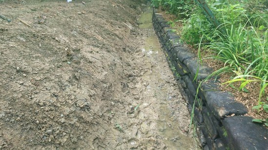 Rootlok vegetated wall for watercourse flood defence | GeoGrow | ESI ...