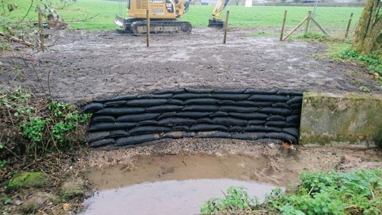Rootlok vegetated wall system | GeoGrow | ESI External Works