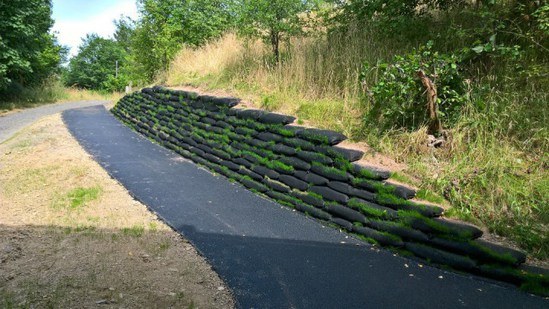 Rootlok vegetated wall system | GeoGrow | ESI External Works