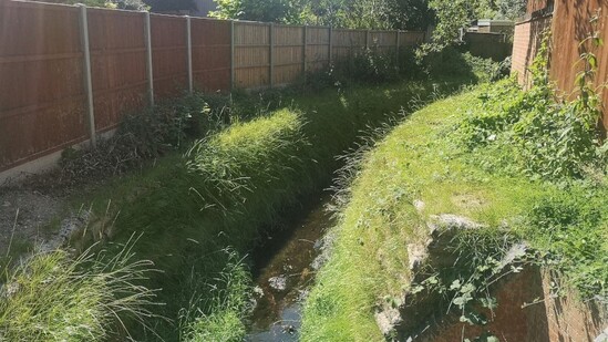 Rootlok vegetated wall system | GeoGrow | ESI External Works