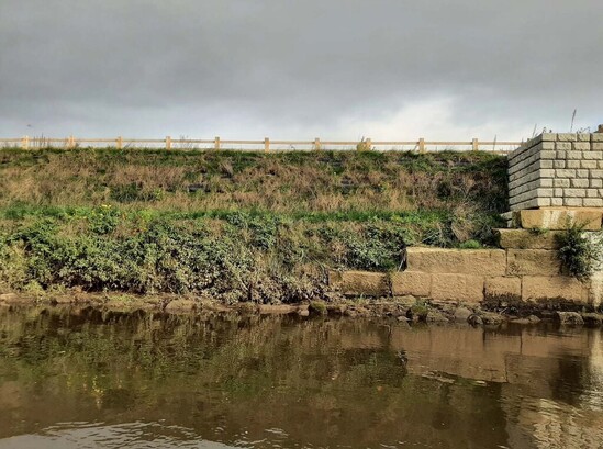 Reinforced vegetated wall system for Aire riverbank | GeoGrow | ESI ...