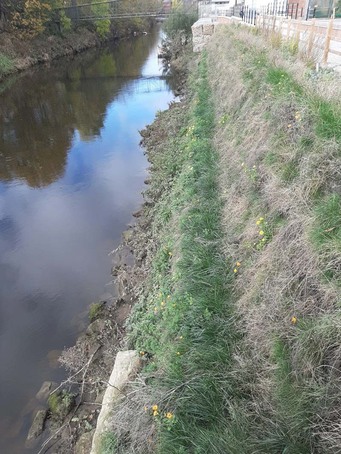 Reinforced vegetated wall system for Aire riverbank | GeoGrow | ESI ...