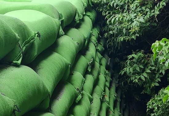 New webinar: Building Greener with Rootlok | GeoGrow | ESI External Works