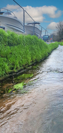 Vegetated wall for riverbank flood protection works | GeoGrow | ESI ...